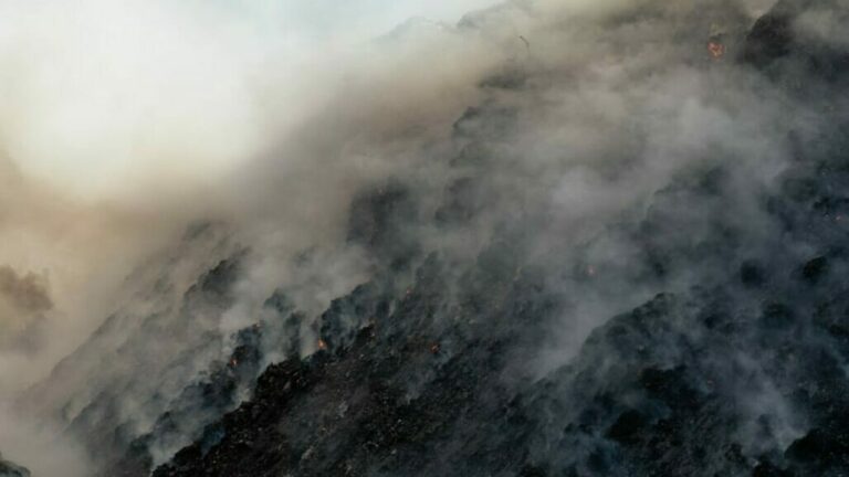 What is the plural of gas?