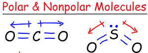 What are examples of polar and nonpolar molecules?