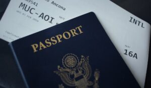 What is type P in passport?
