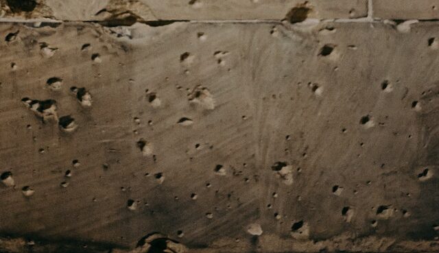 What does a termite hole look like in a wall?