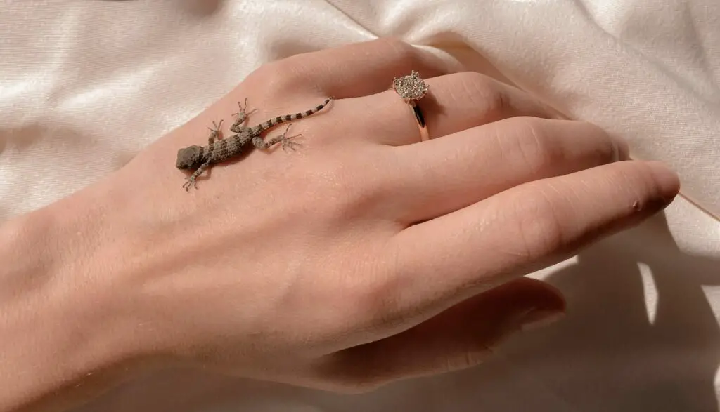 What is a weiss ring?